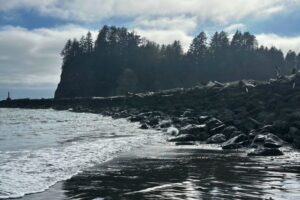La Push Beach | The Perfect Guide For Exploring The First Beach!