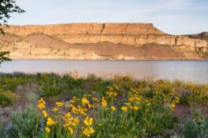 15 Gorgeous Washington Lakes You Need to Visit In 2023!